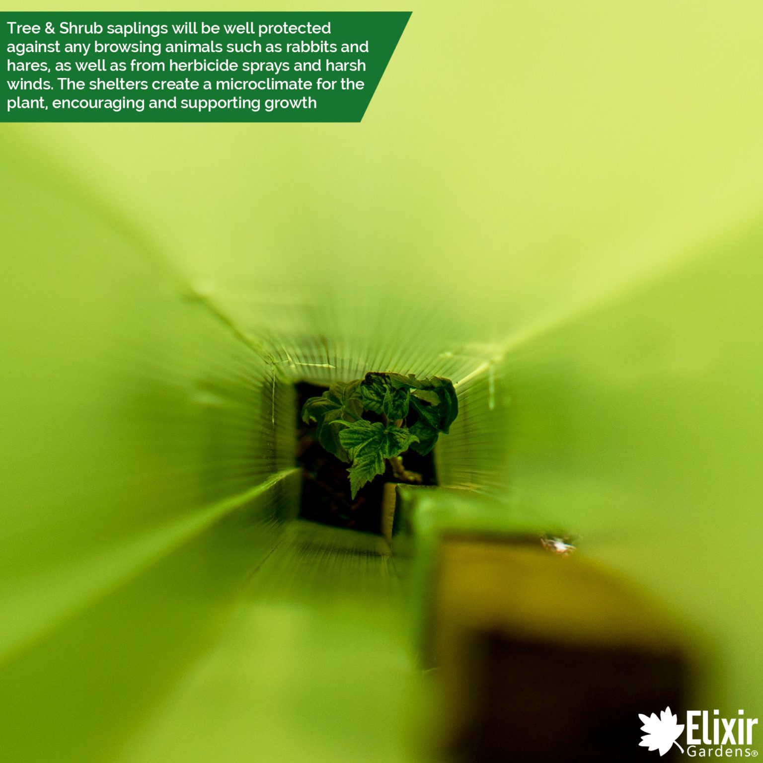 Tree & Shrub Defender+ Guards | Optional Wooden Stakes