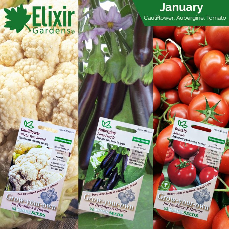 Vegetable Growing Kits with Seeds - Elixir Garden Supplies