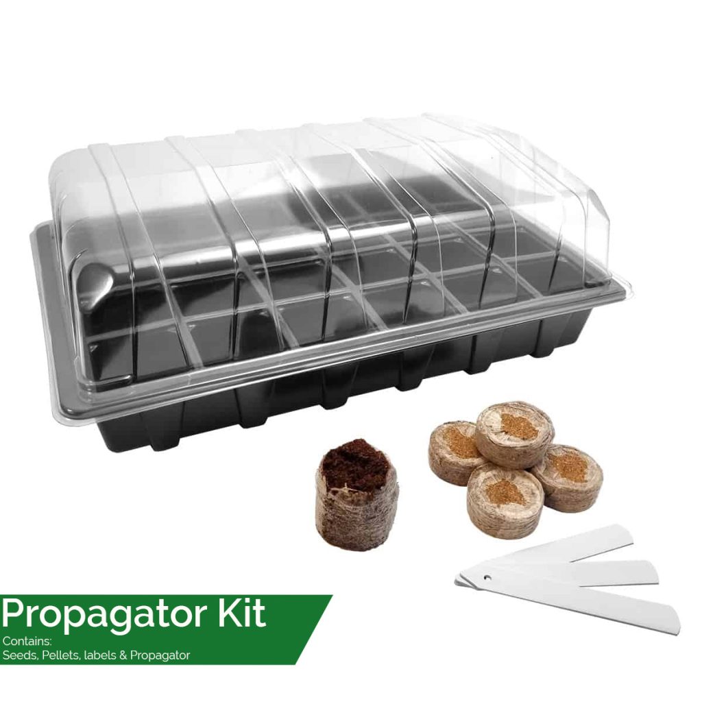 Vegetable Growing Kits with Seeds - Elixir Garden Supplies