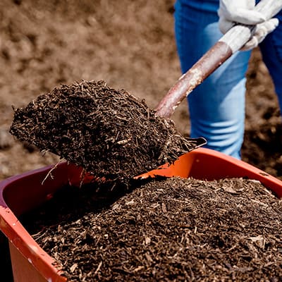 Elixir Garden Supplies | Professional Gardening Essentials