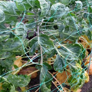 Elixir Garden Supplies | Professional Gardening Essentials