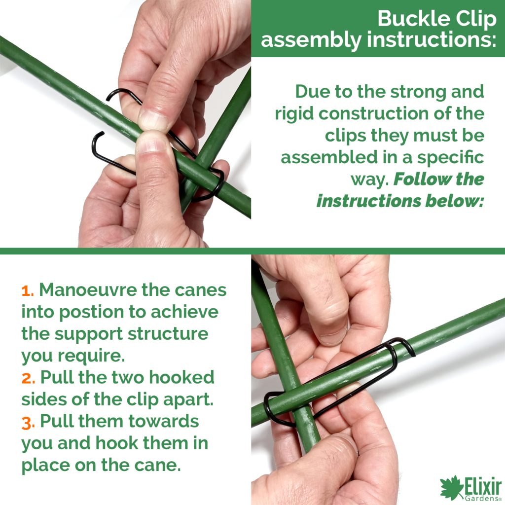 Wire Buckle Cane Clips - Elixir Garden Supplies
